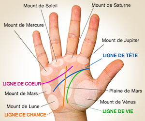 Chiromancie: Votre destin est entre vos mains