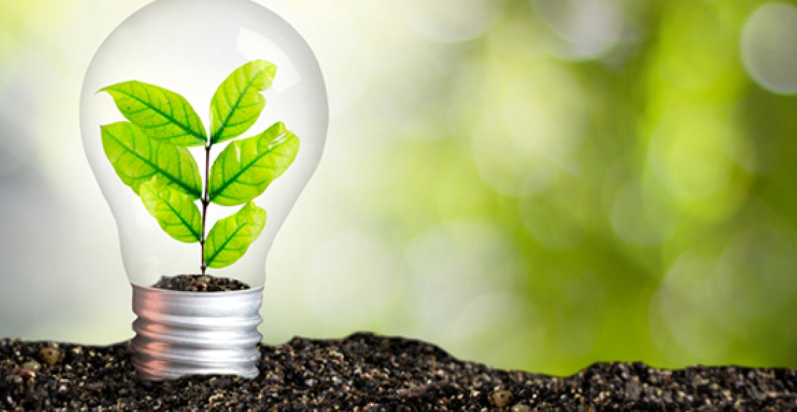 Ecologie: maitriser et respecter l'environnement pour une gestion durable